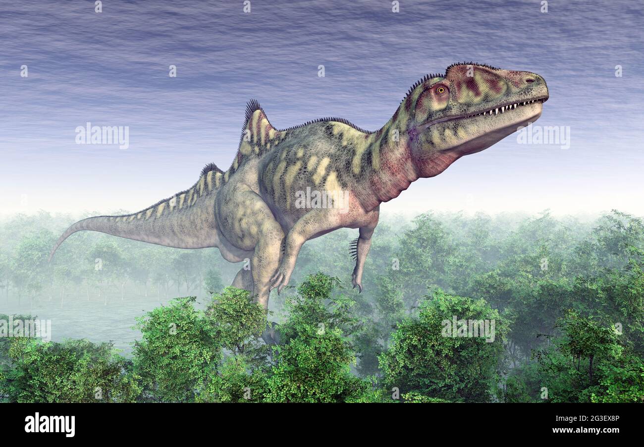 Dinosaur Concavenator in a rainforest Stock Photo - Alamy
