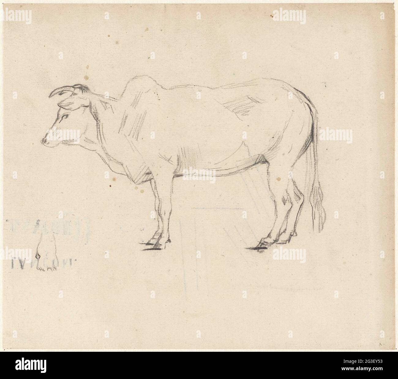 Car building Stock Photo - Alamy