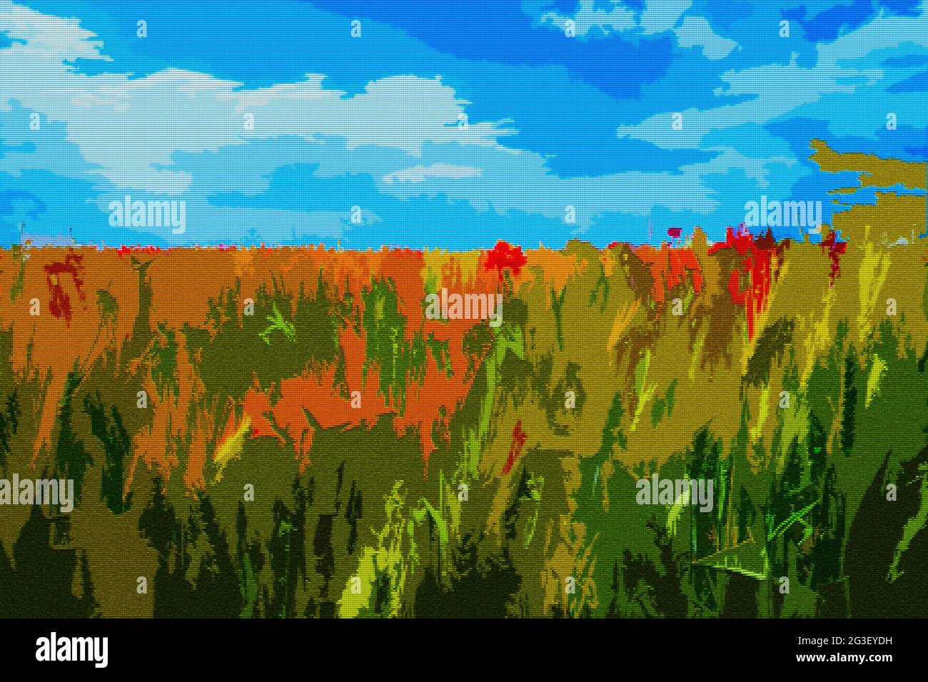 Wheat crop in the Baragan plain at the beginning of the summer season ...