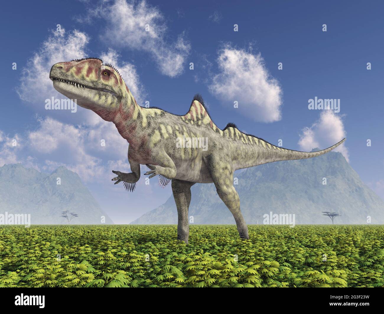 Concavenator hi-res stock photography and images - Alamy