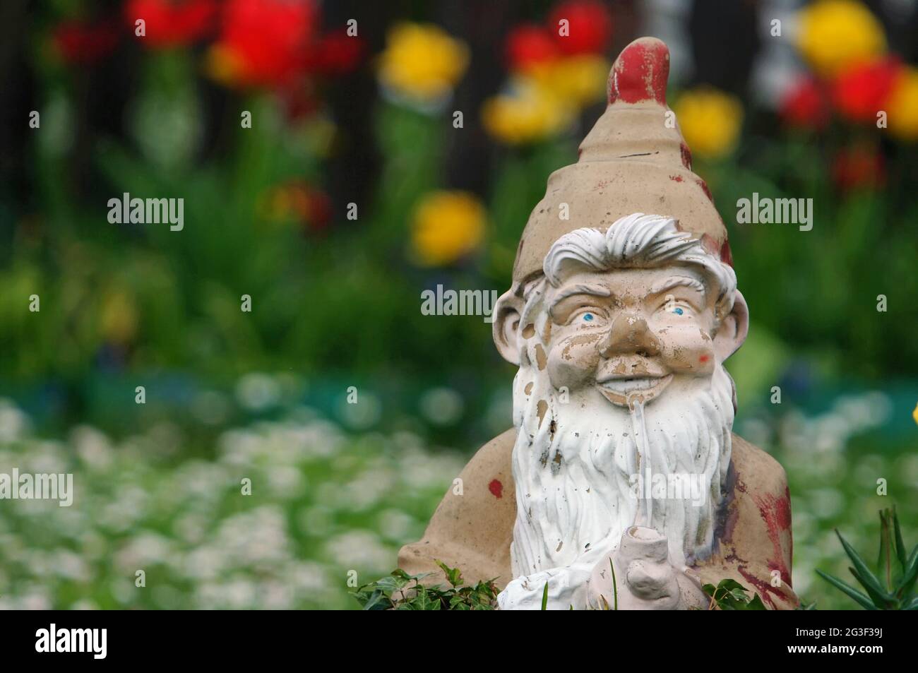 Gnome spring hi-res stock photography and images - Alamy
