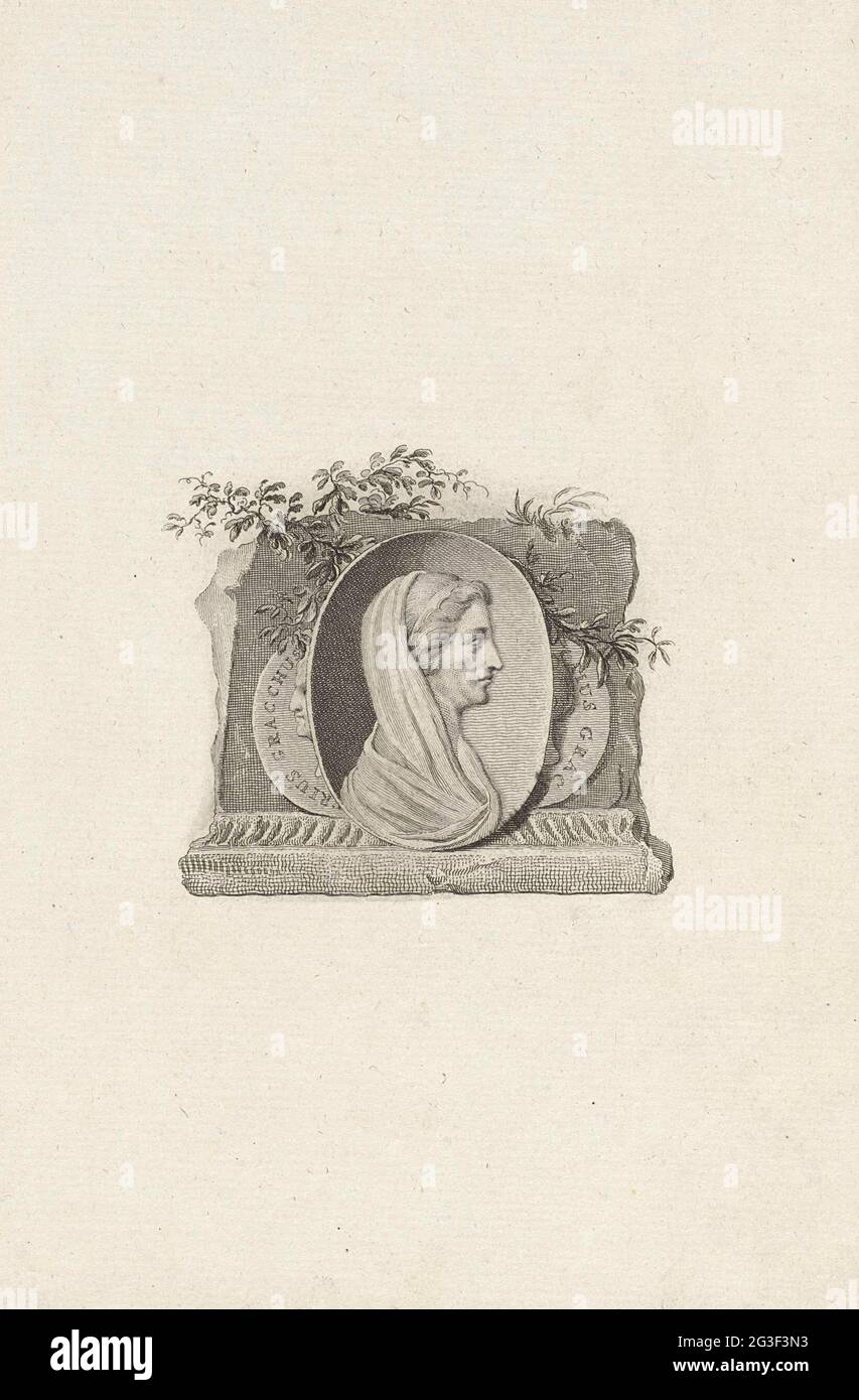 Medallion with the portrait of Cornelia, mother of gracchen. Stone with ...