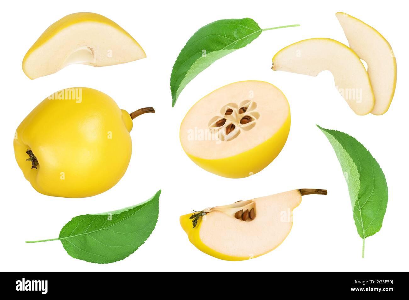 Fresh quince with half and slices isolated on the white background with ...