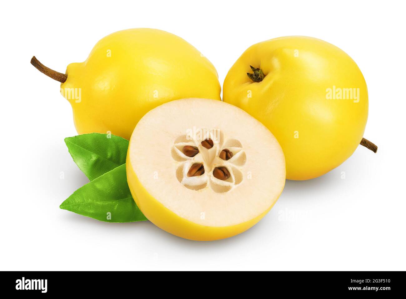 Fresh quince with half isolated on the white background with clipping ...