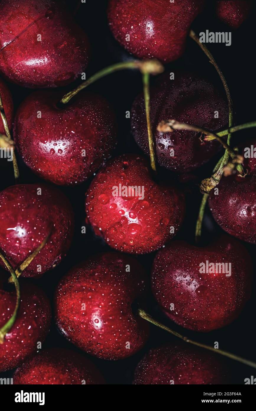 Organic cherry fruits with stems, above vantage point photography ...
