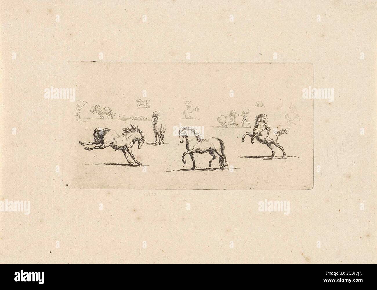 Equorum equitum hi-res stock photography and images - Alamy