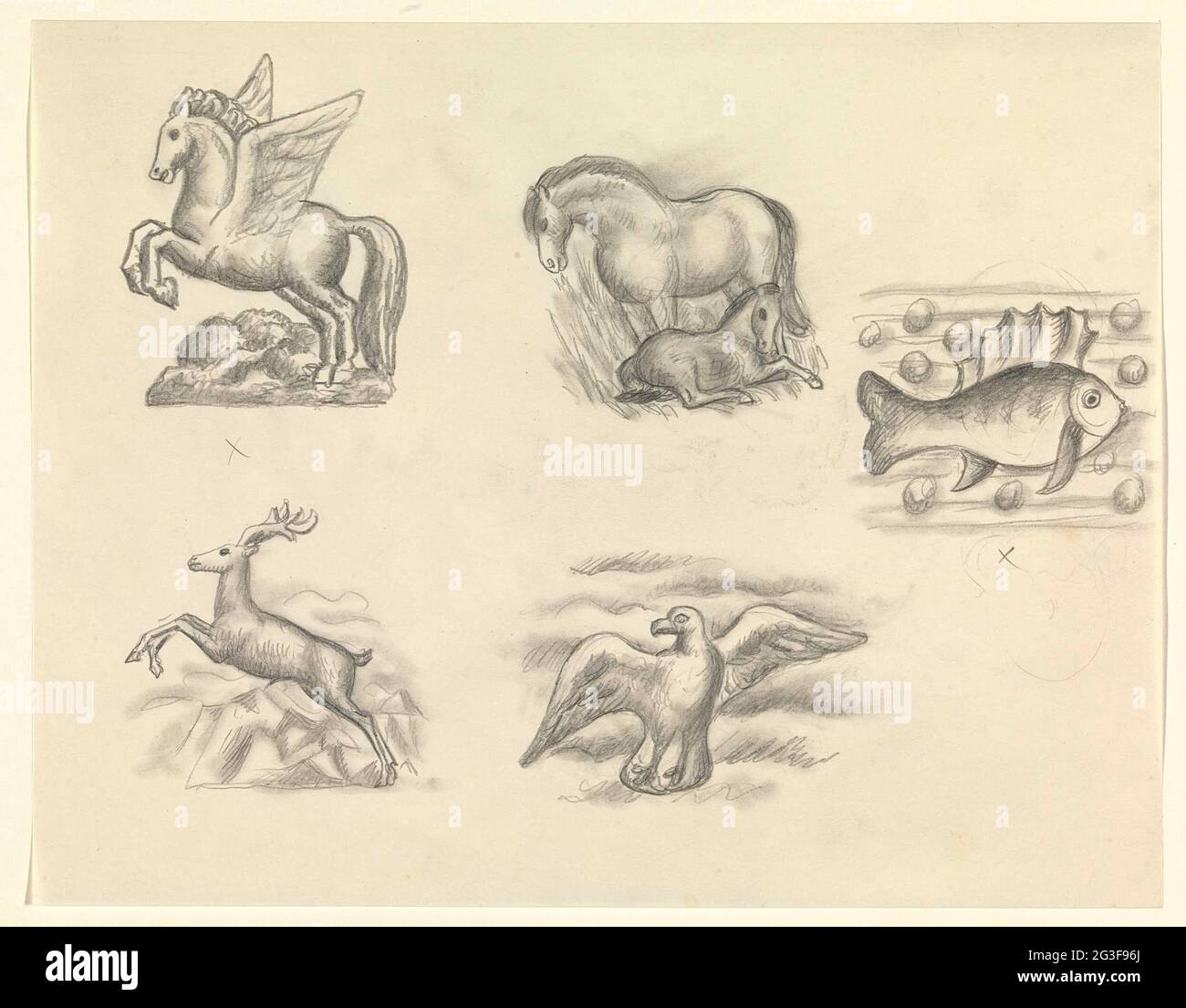 Pegasus fish hi-res stock photography and images - Alamy