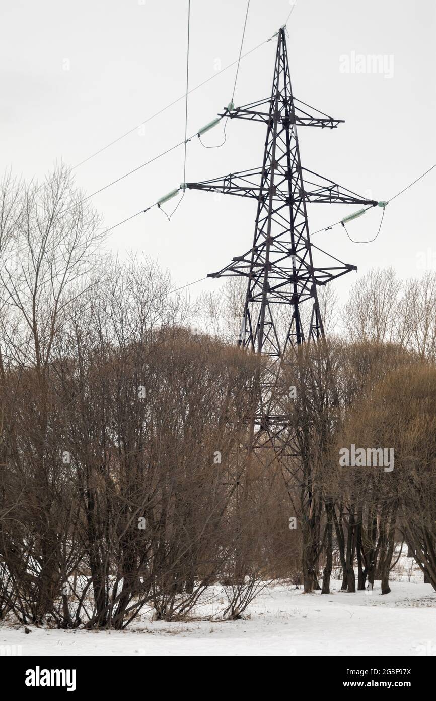 Wire cable around tree hi-res stock photography and images - Alamy
