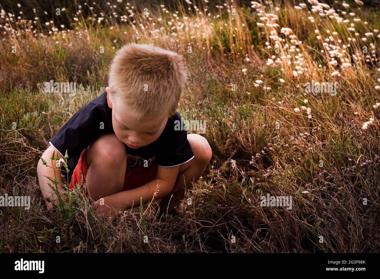 Young child in nature Stock Photo - Alamy