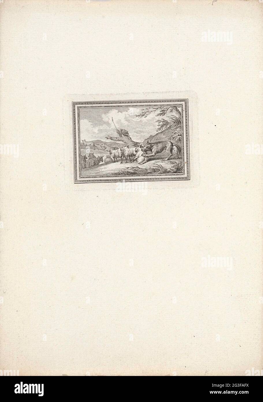 Two wolves. A shepherd hunts a wolf while a second wolf grabs one of ...