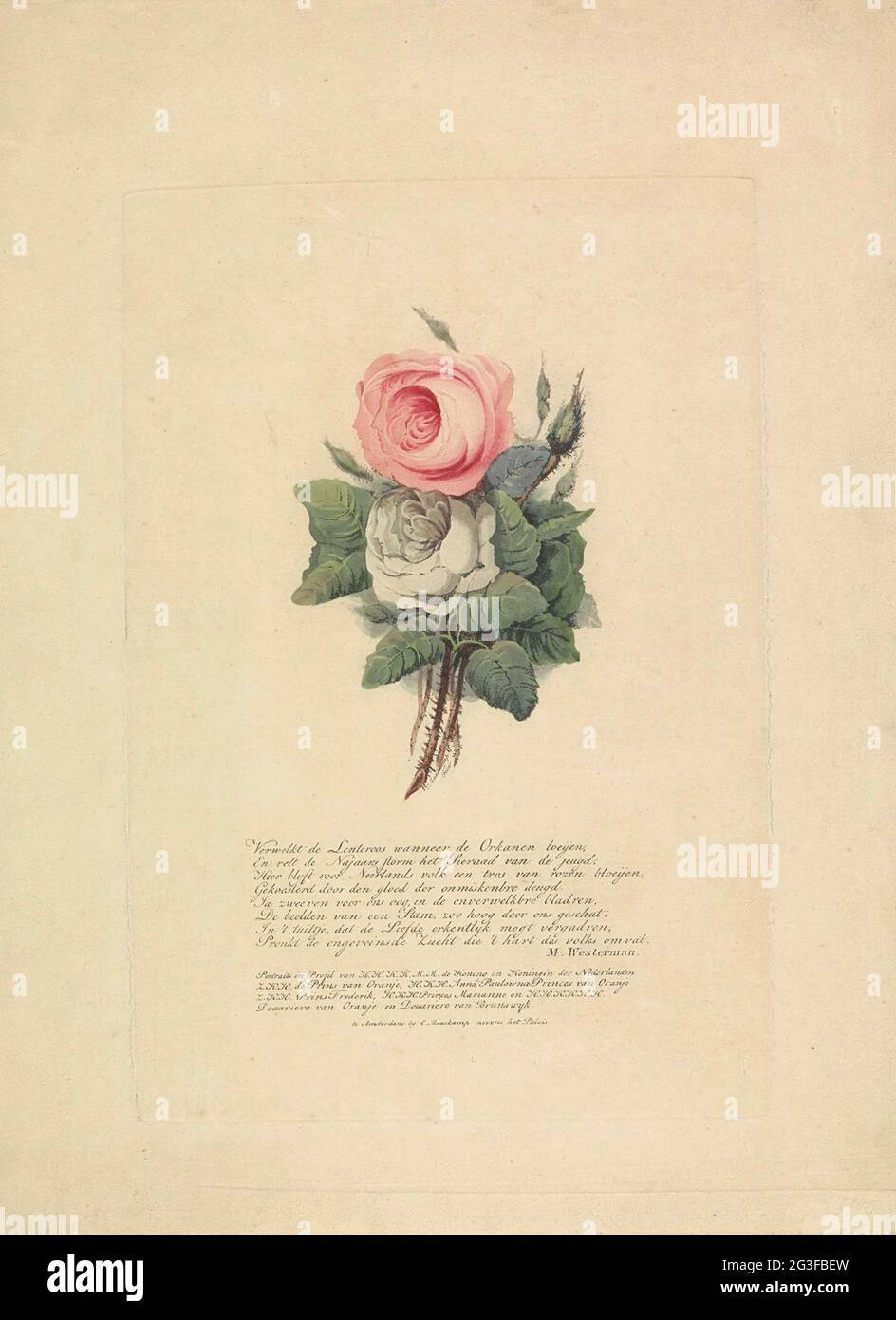 Roses with the silhouettes of the royal family, 1816. Bouquet with a ...