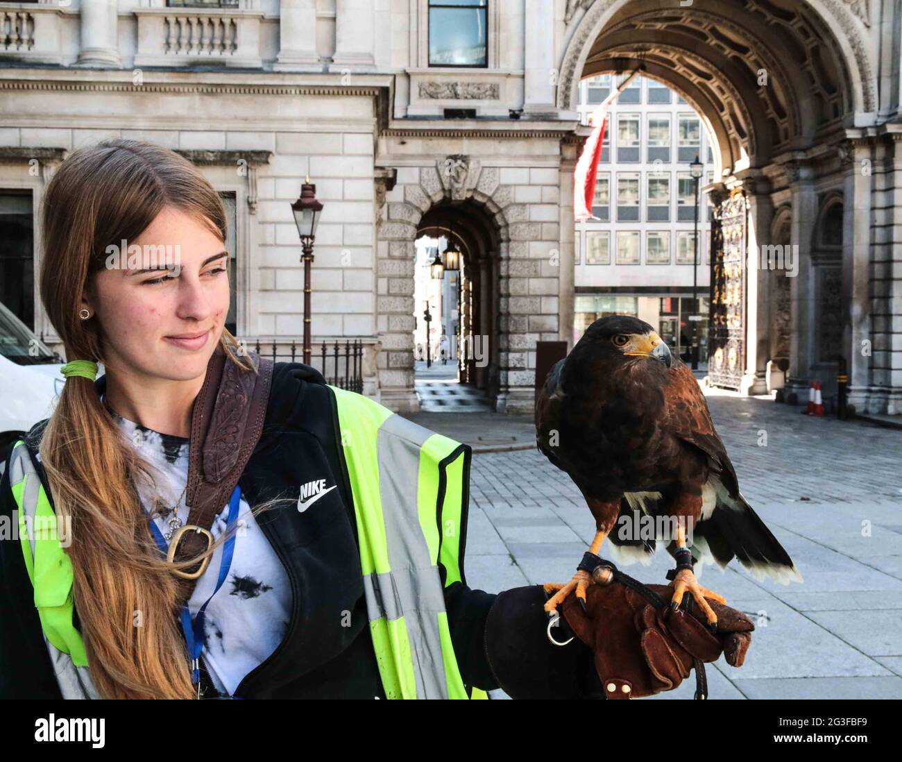 Girl with a hawk in her arm hi-res stock photography and images - Alamy