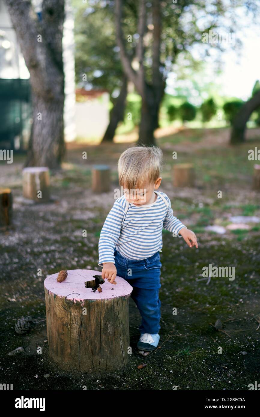 Kid stands near a stump in a green park, bowing his head over it Stock ...