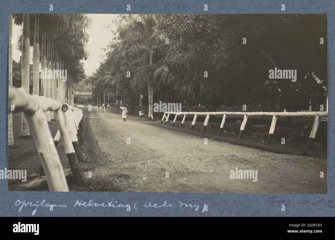 Tabaksonderneming hi-res stock photography and images - Alamy