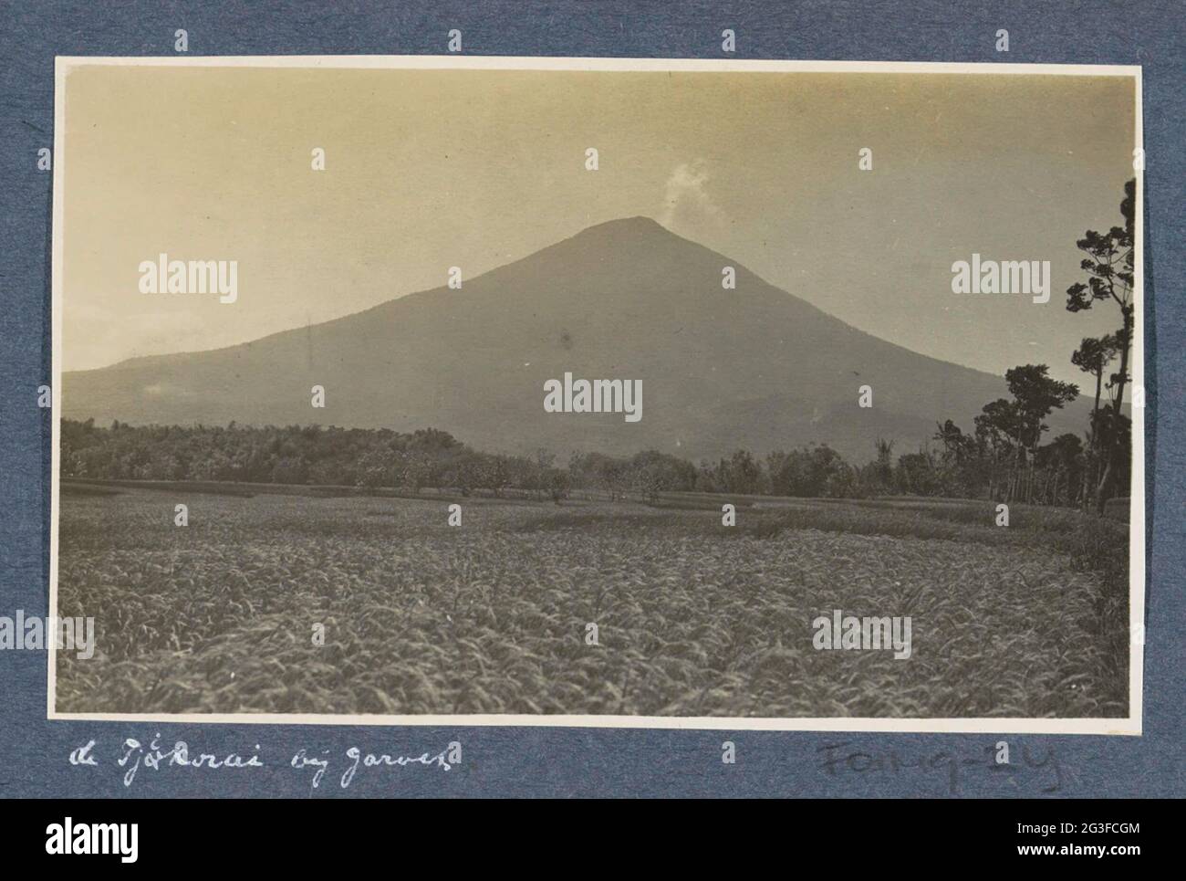 Volcano Tjikorai at Garut seen over fields. Part of travel album with ...