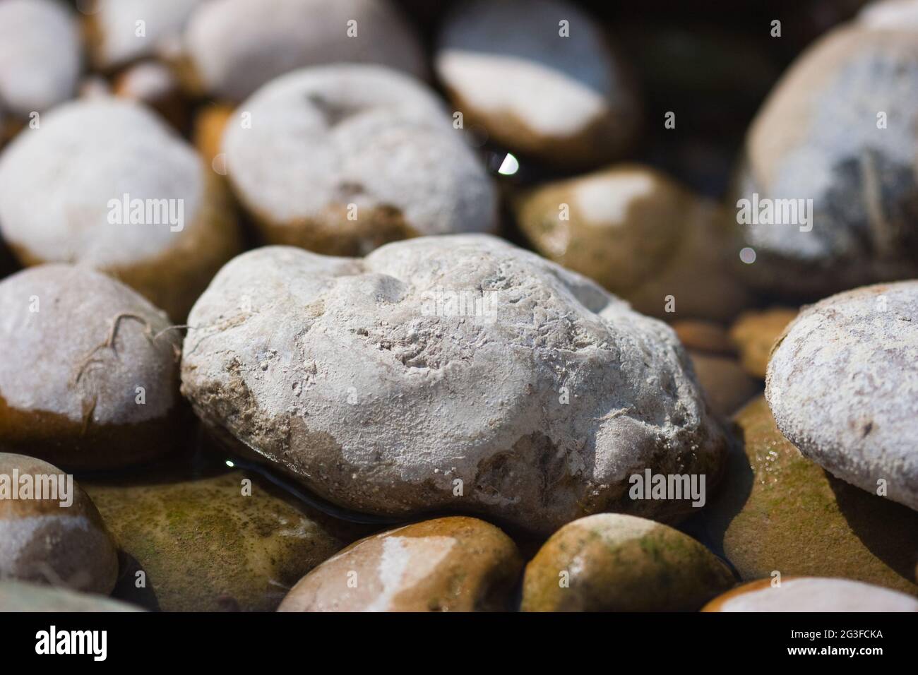 Pebbles in a river Stock Photo - Alamy