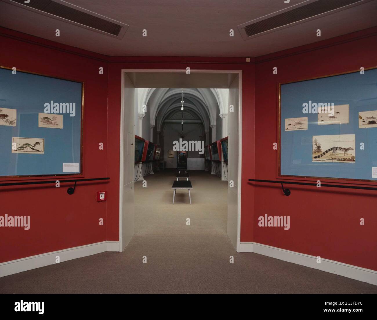 Room with prints and / or drawings in showcases and banks for visitors ...