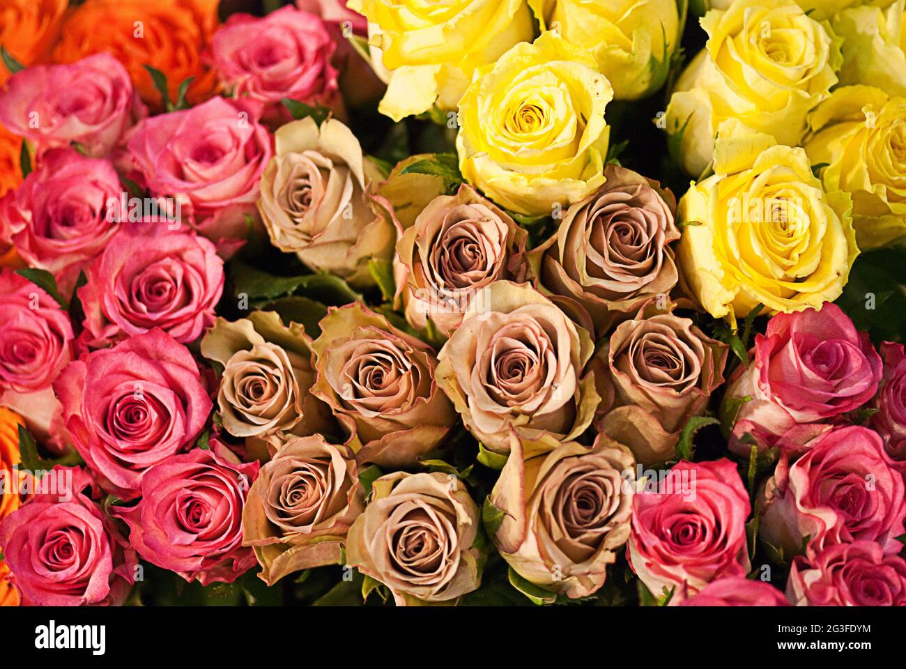 Artificial Colored Flowers Stock Photo - Alamy