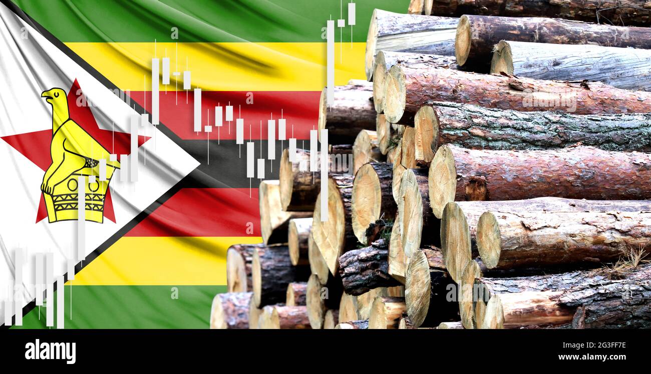 Timber on the background of the flag of Zimbabwe, the concept of rising ...