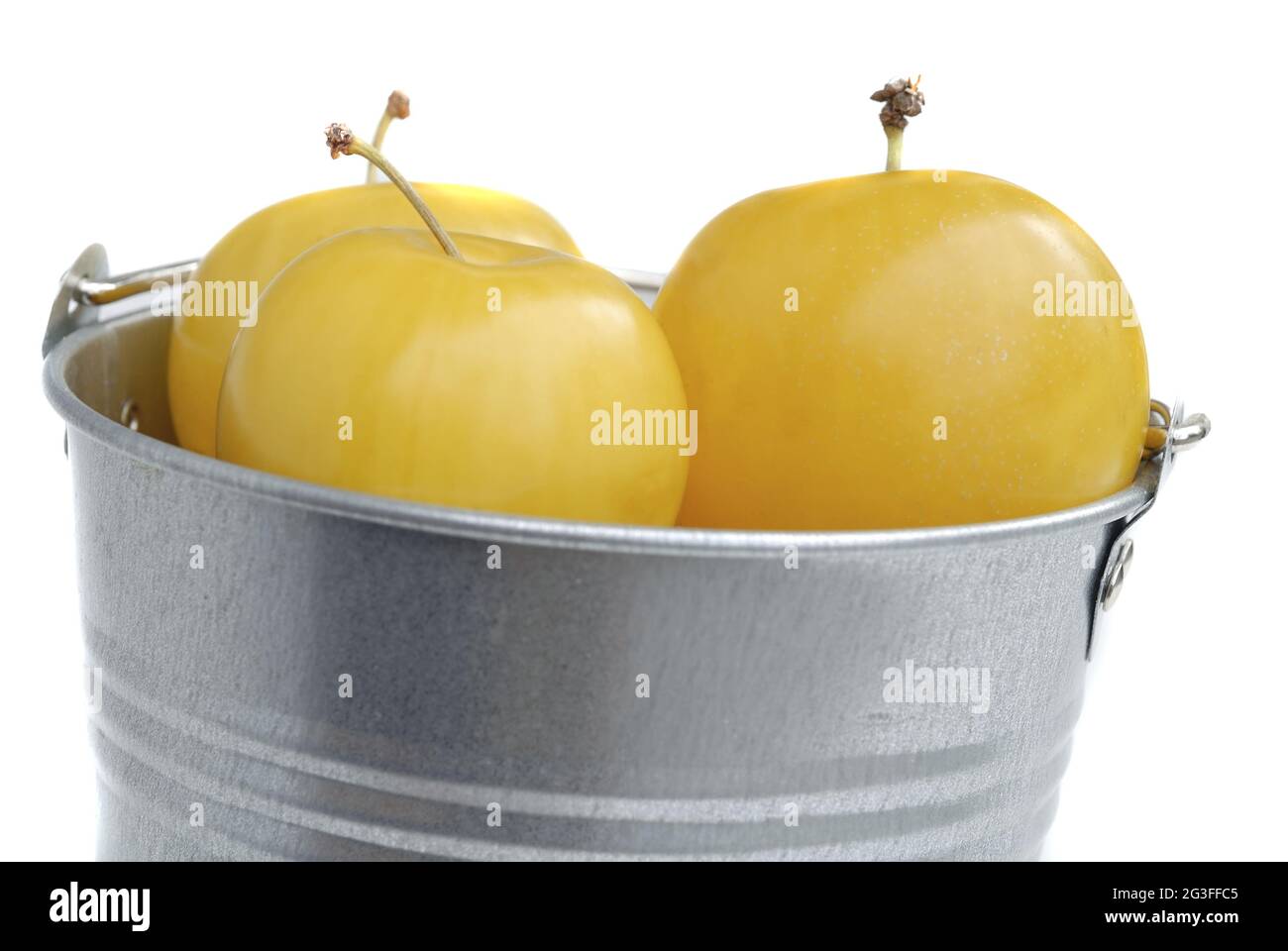 Ringlo hi-res stock photography and images - Alamy