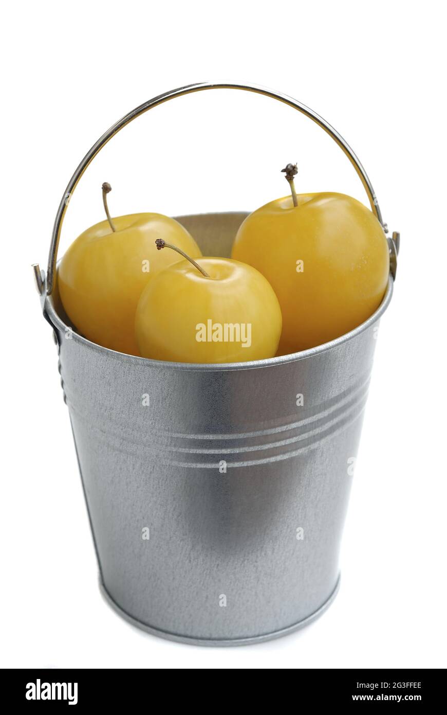 Ringlo hi-res stock photography and images - Alamy