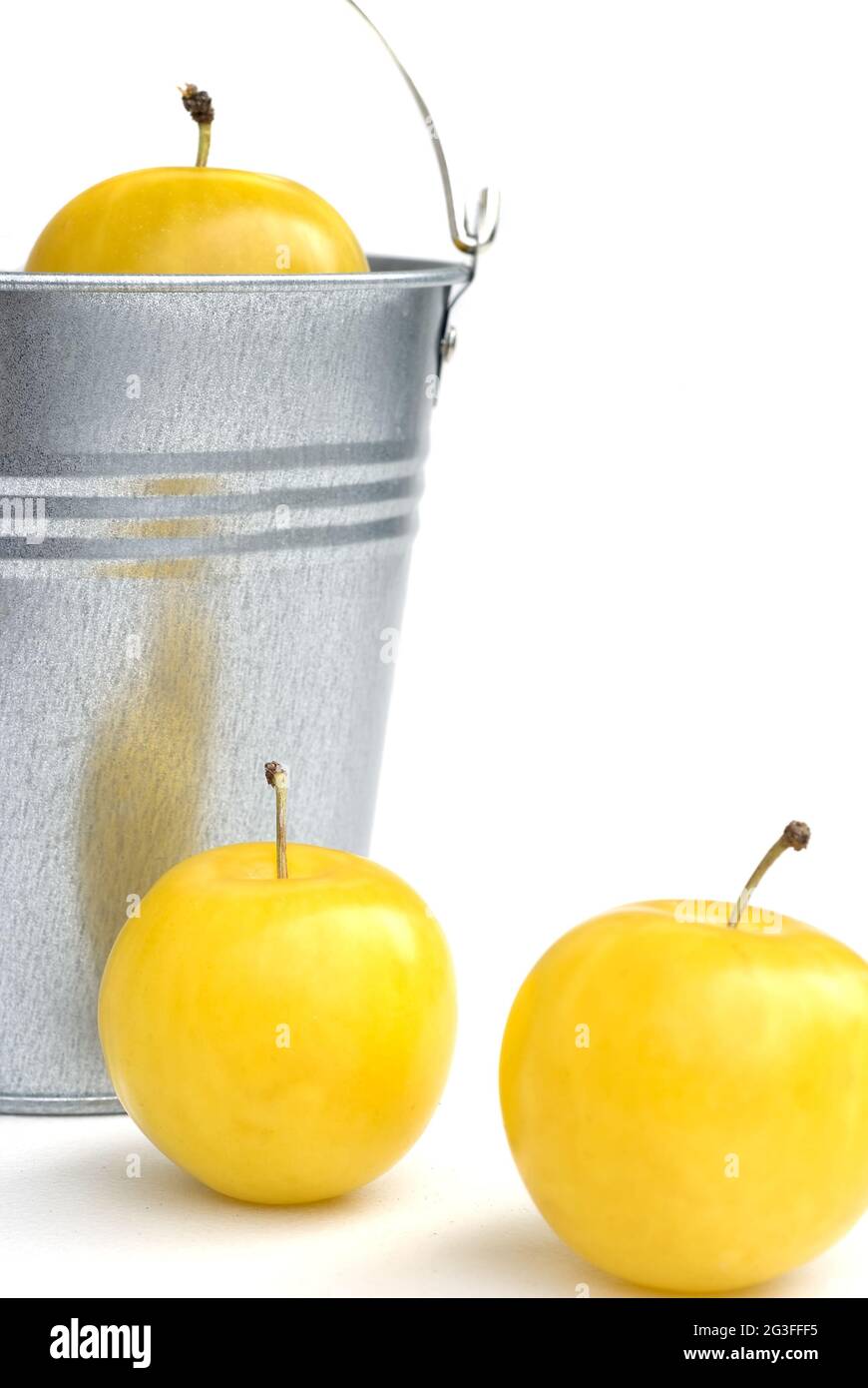 Ringlo hi-res stock photography and images - Alamy