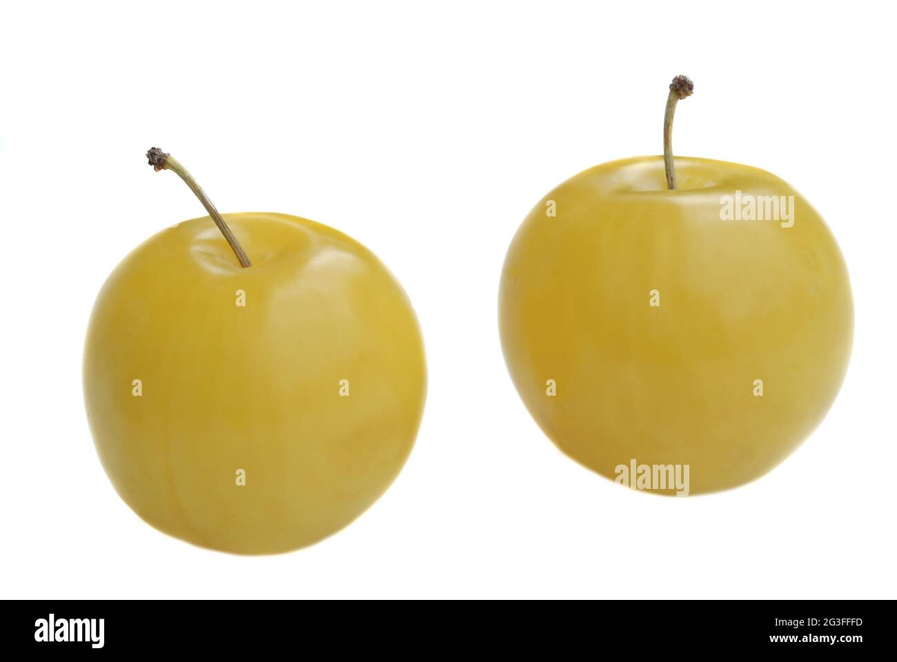 Ringlo hi-res stock photography and images - Alamy