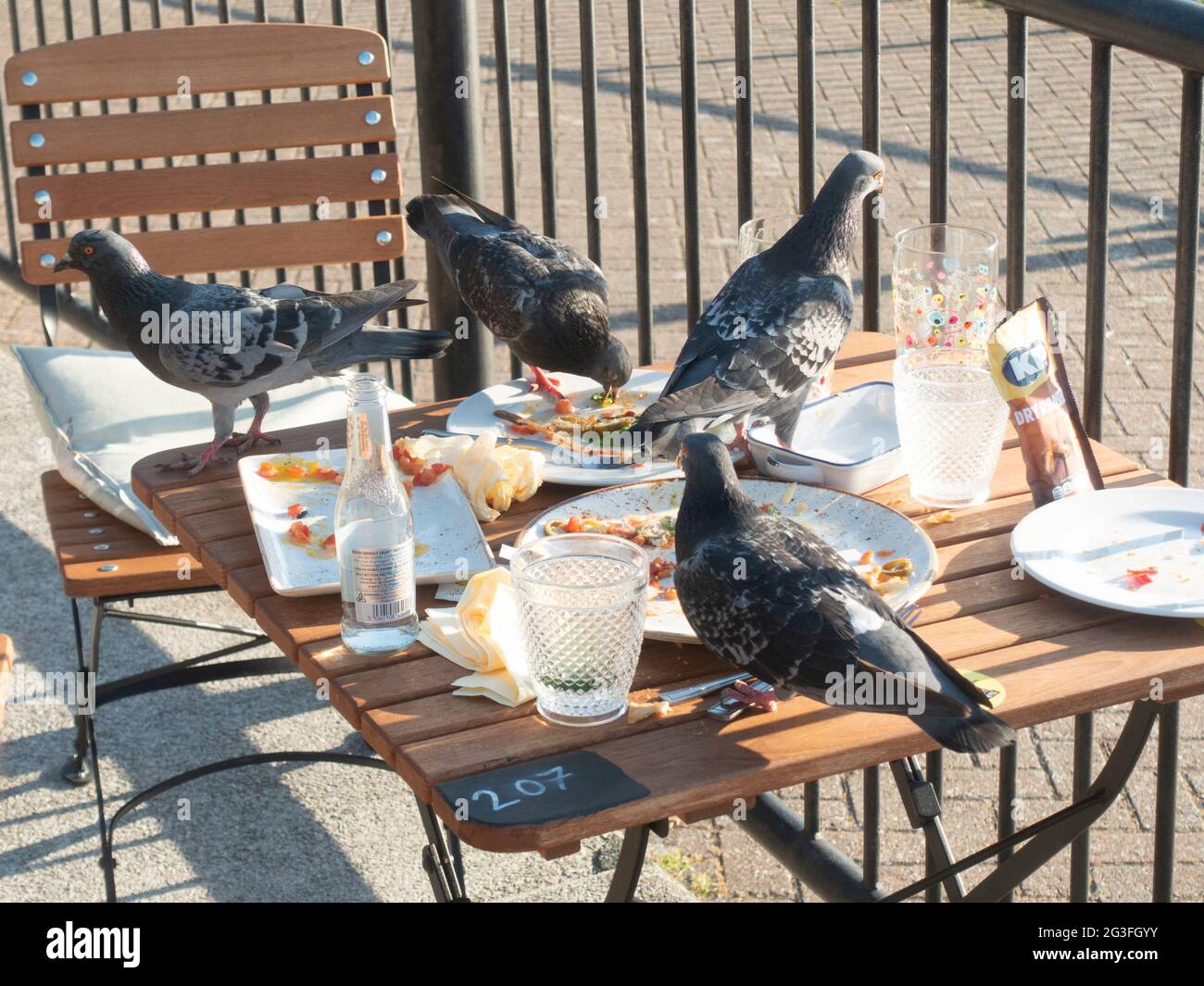 Pigeons eating at a table hi-res stock photography and images - Alamy