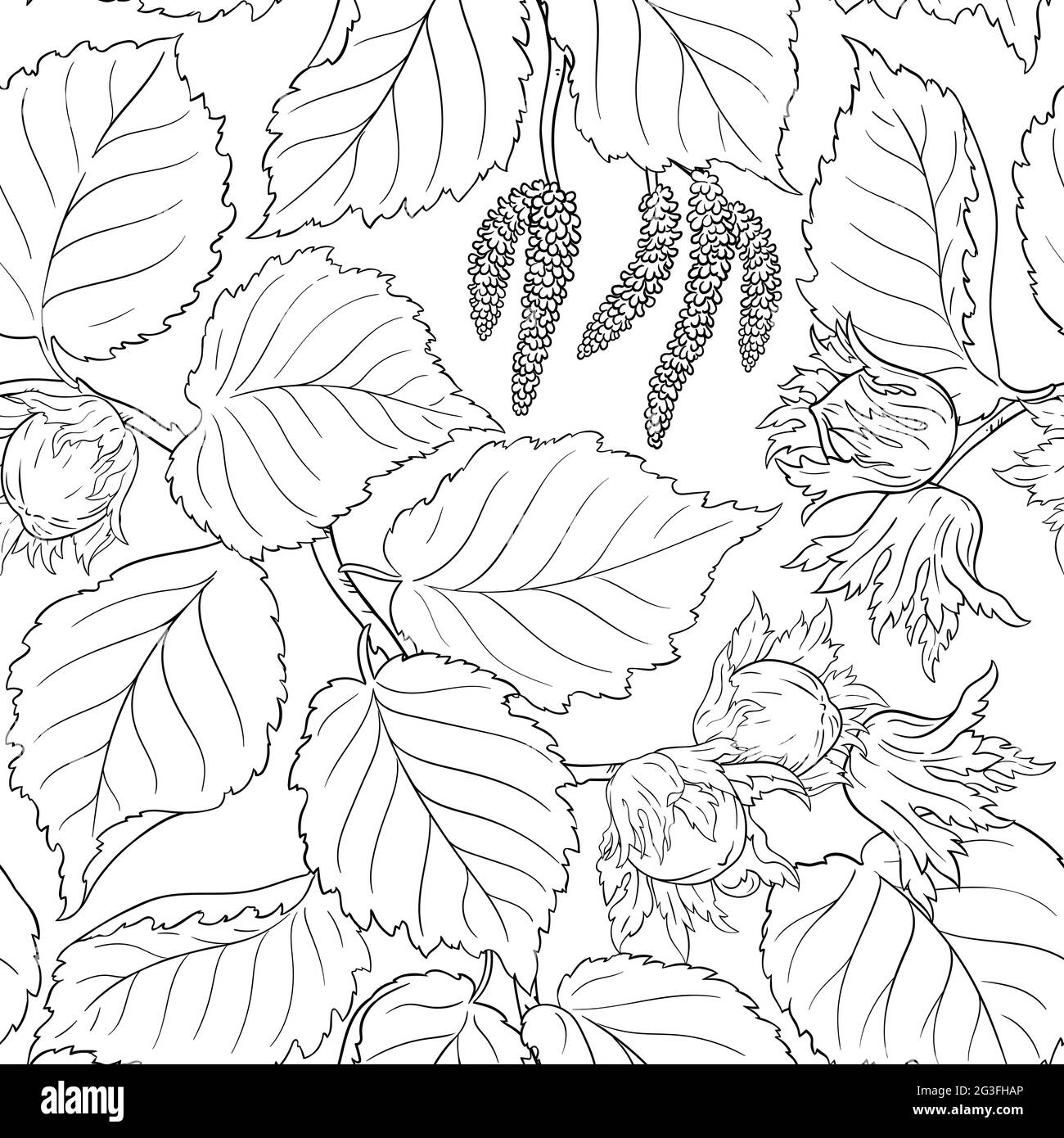Background hazelnut leaf Stock Vector Images - Alamy