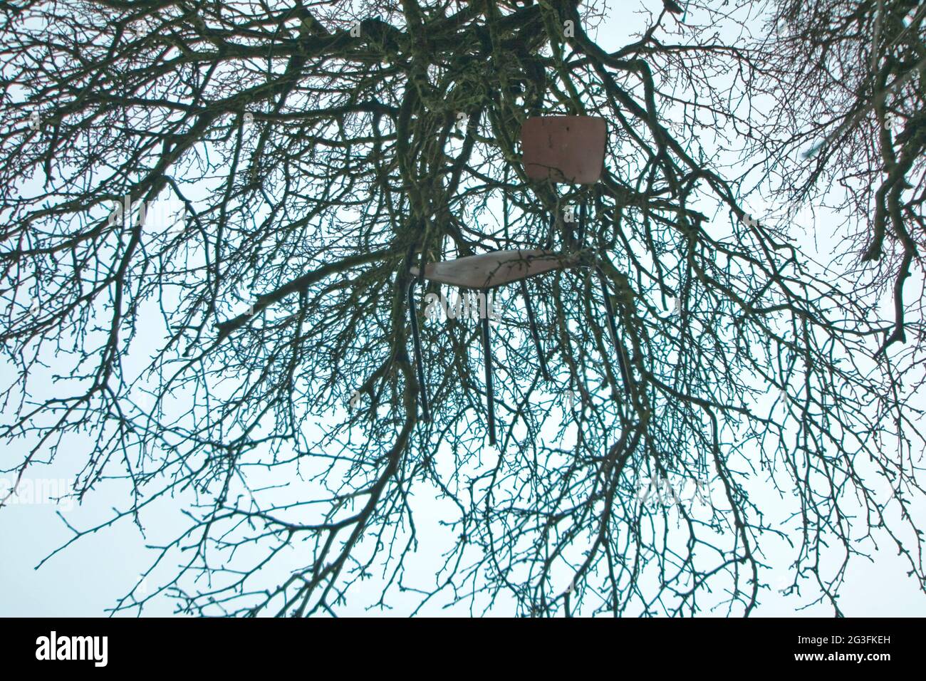 Tree chair hi-res stock photography and images - Alamy