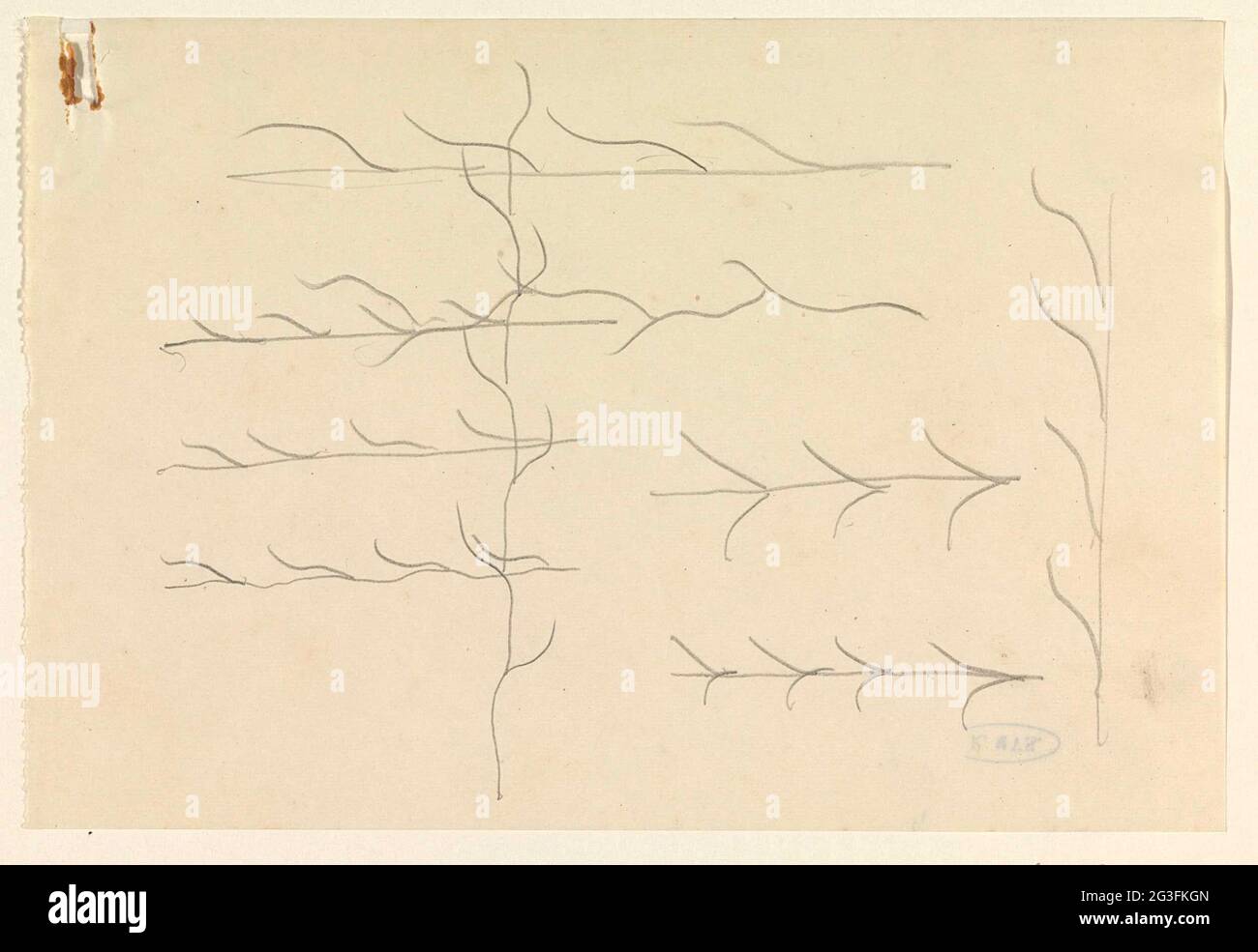 Designs for a watermark of a banknote: ornament Stock Photo - Alamy