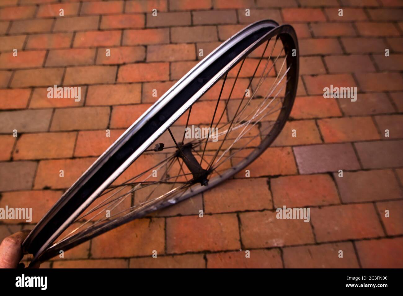 Felly hi-res stock photography and images - Alamy