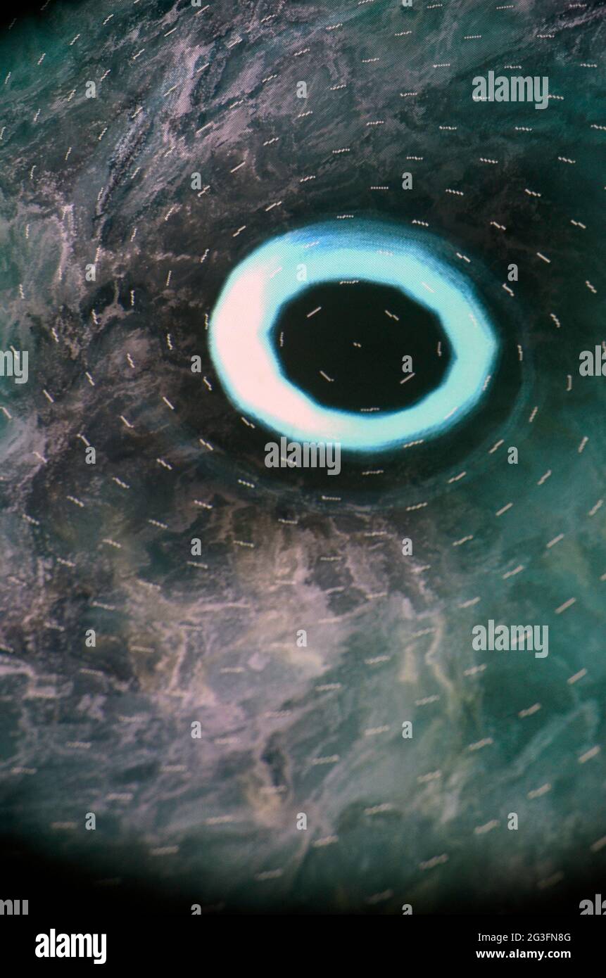 abstract floating ring swirling in space Stock Photo - Alamy