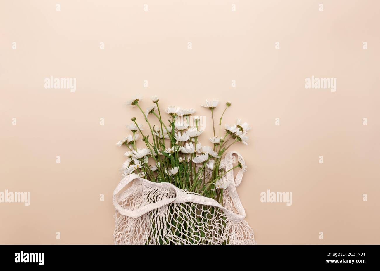 Eco friendly summer concept on beige background with eco shopping bag ...