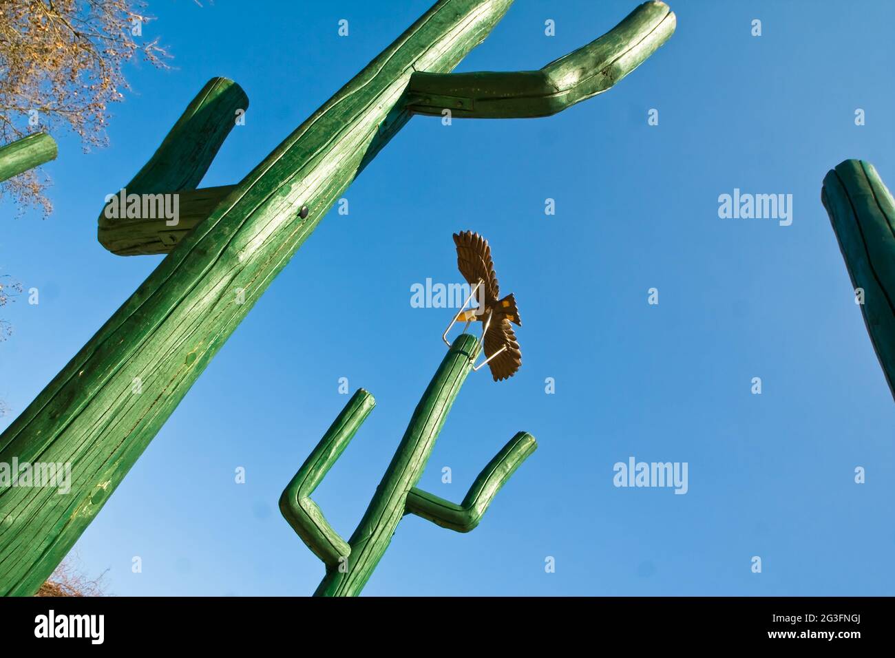Cactus theater hi-res stock photography and images - Alamy