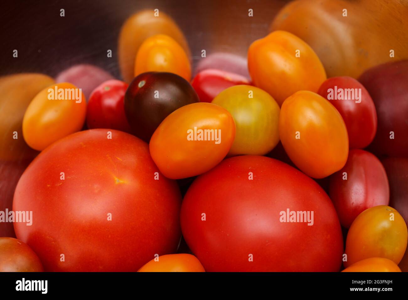 Different colors and sizes of tomato in a metal bowl Stock Photo - Alamy