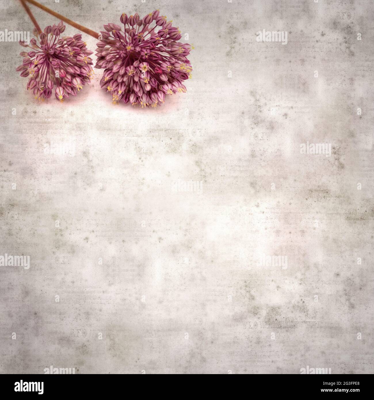 square stylish old textured paper background with Stock Photo - Alamy