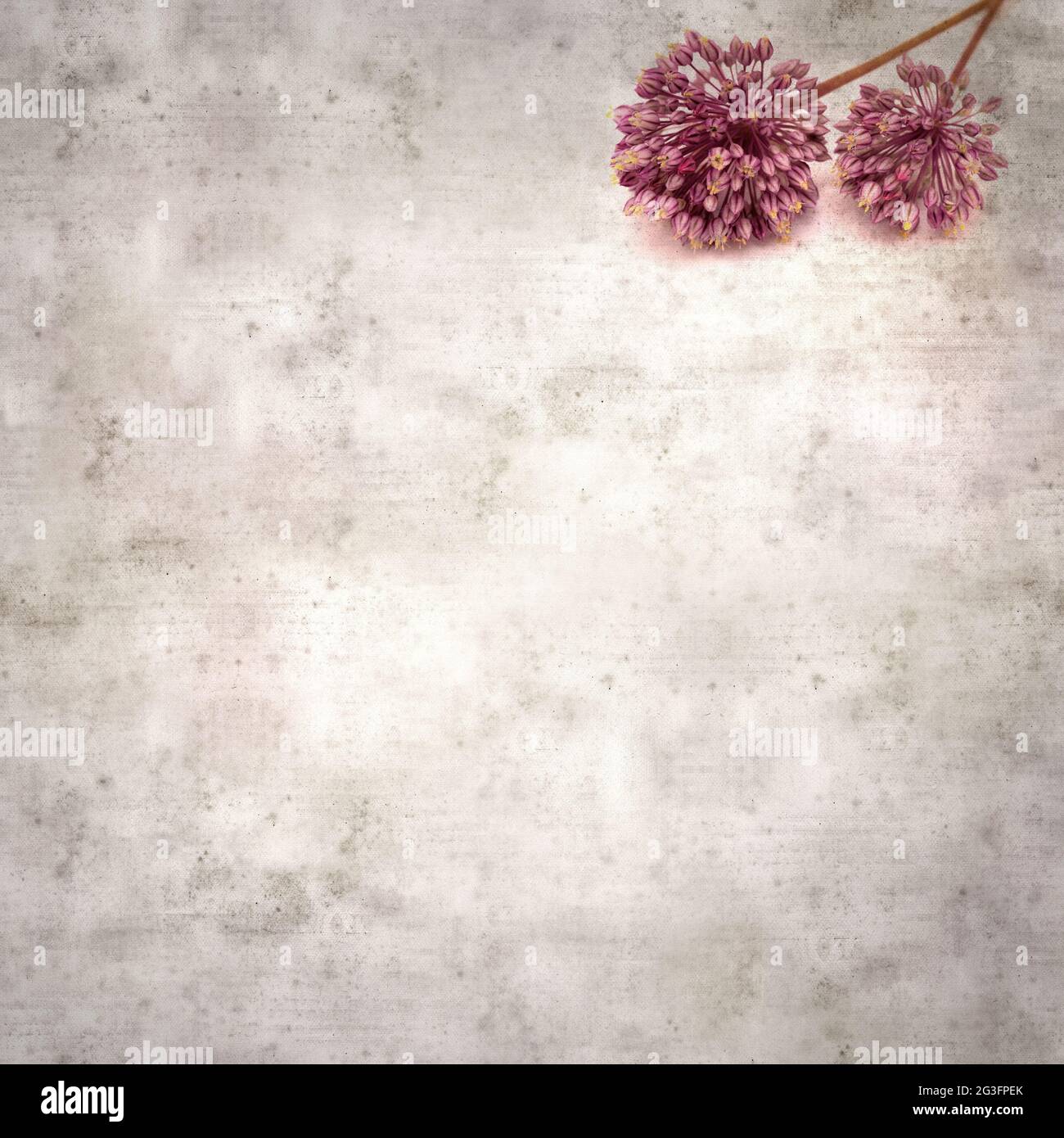 square stylish old textured paper background with Stock Photo - Alamy