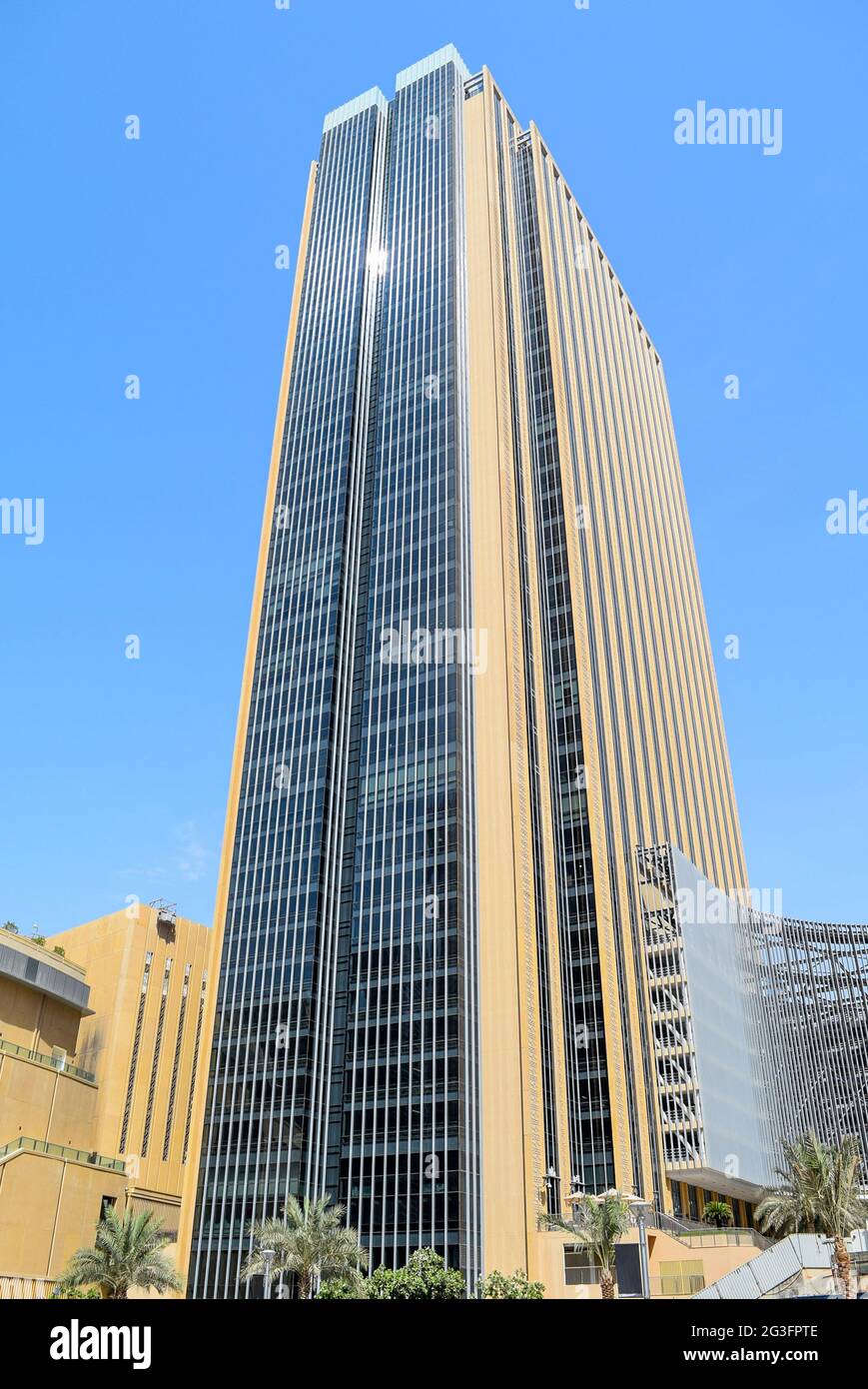 Palm in front of a skyscraper hi-res stock photography and images - Alamy