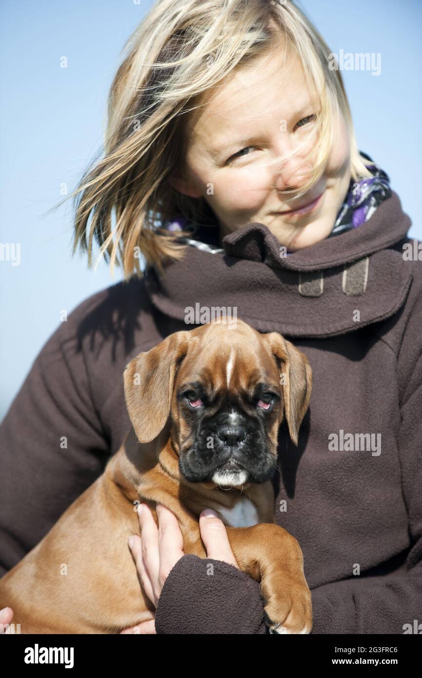 Cute female boxer puppy hi-res stock photography and images - Alamy