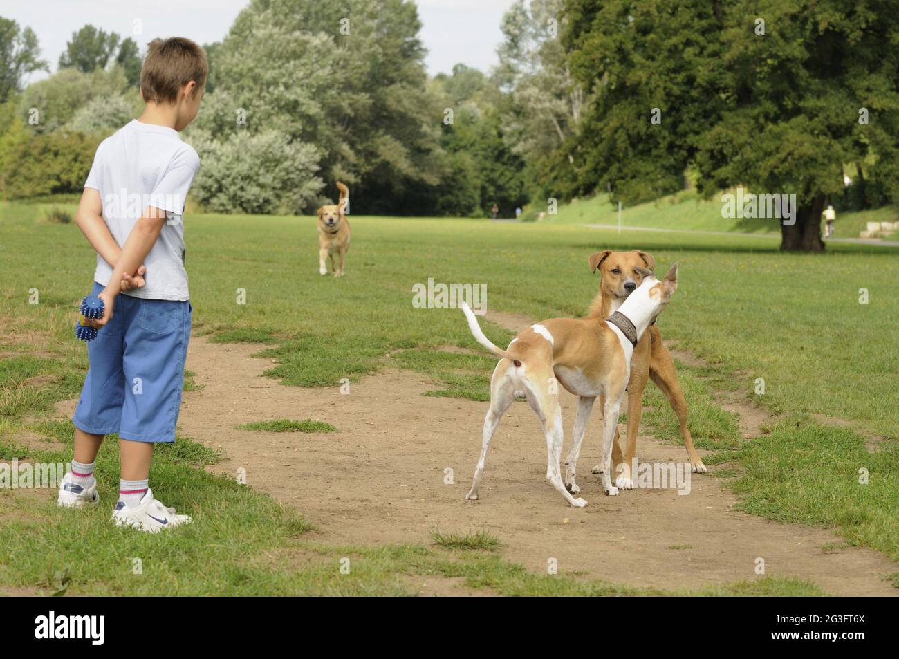 Child with dog Stock Photo - Alamy