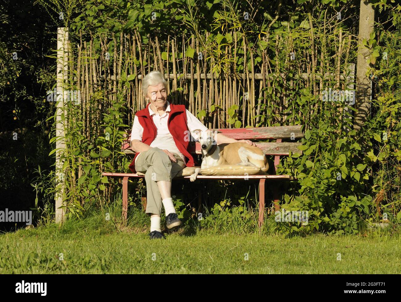 Senior citizen with dog Stock Photo - Alamy