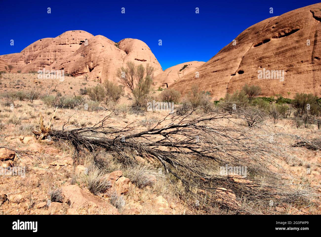 Australian outback hi-res stock photography and images - Alamy