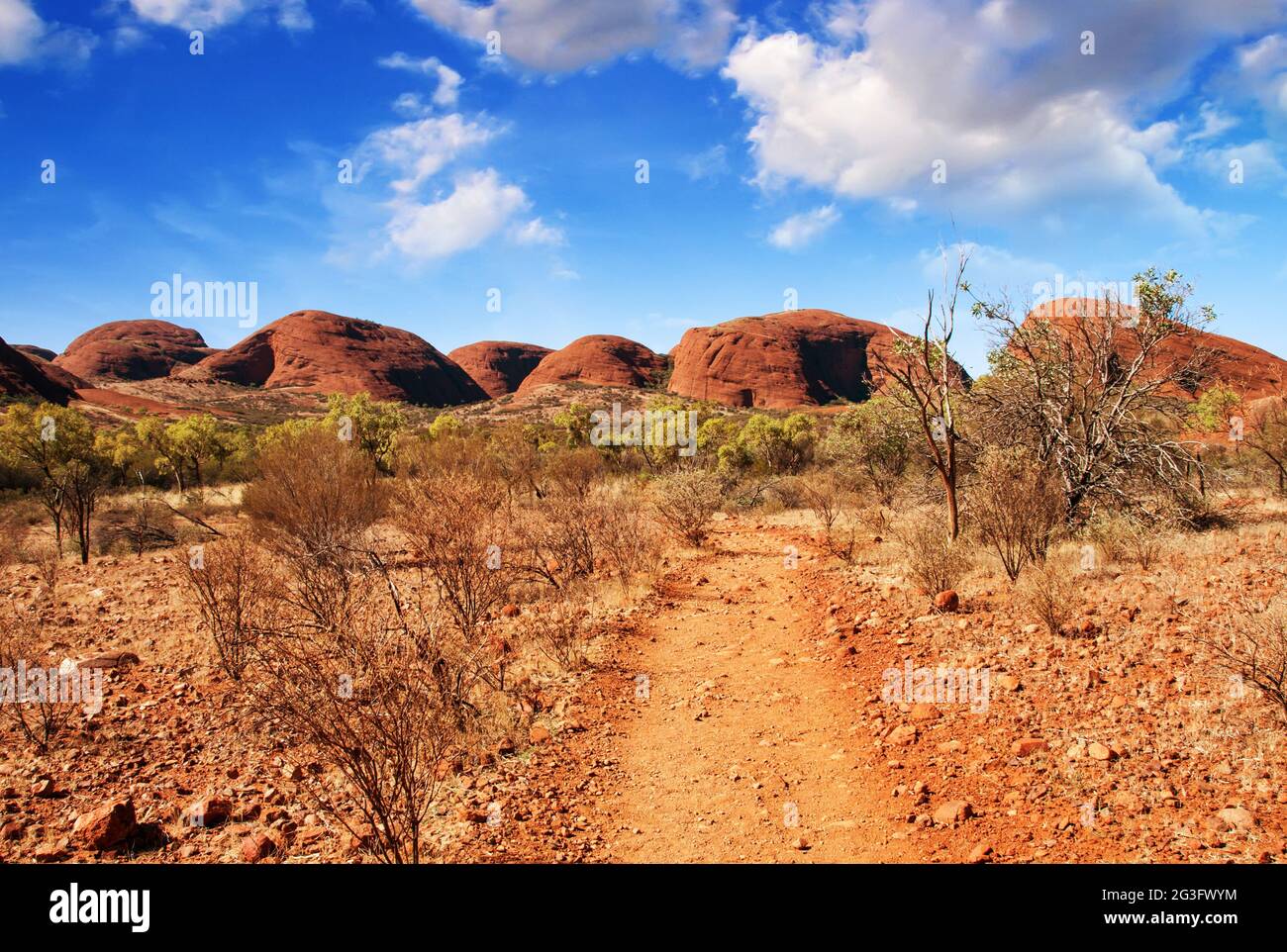 Australian Landscape Desert