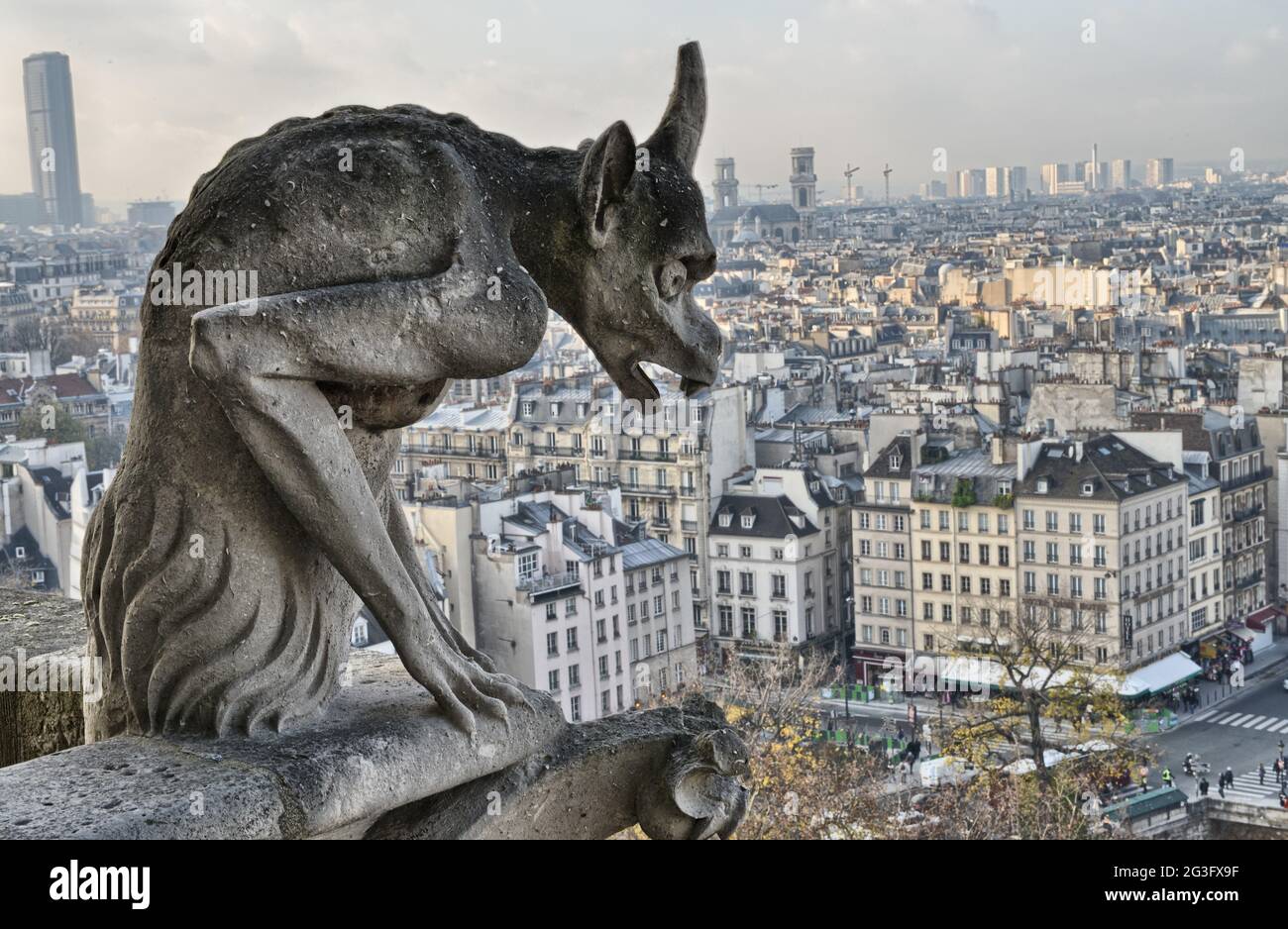 Paris. Closeup of gargoyle on the top of Notre-Dame Cathedral - City ...