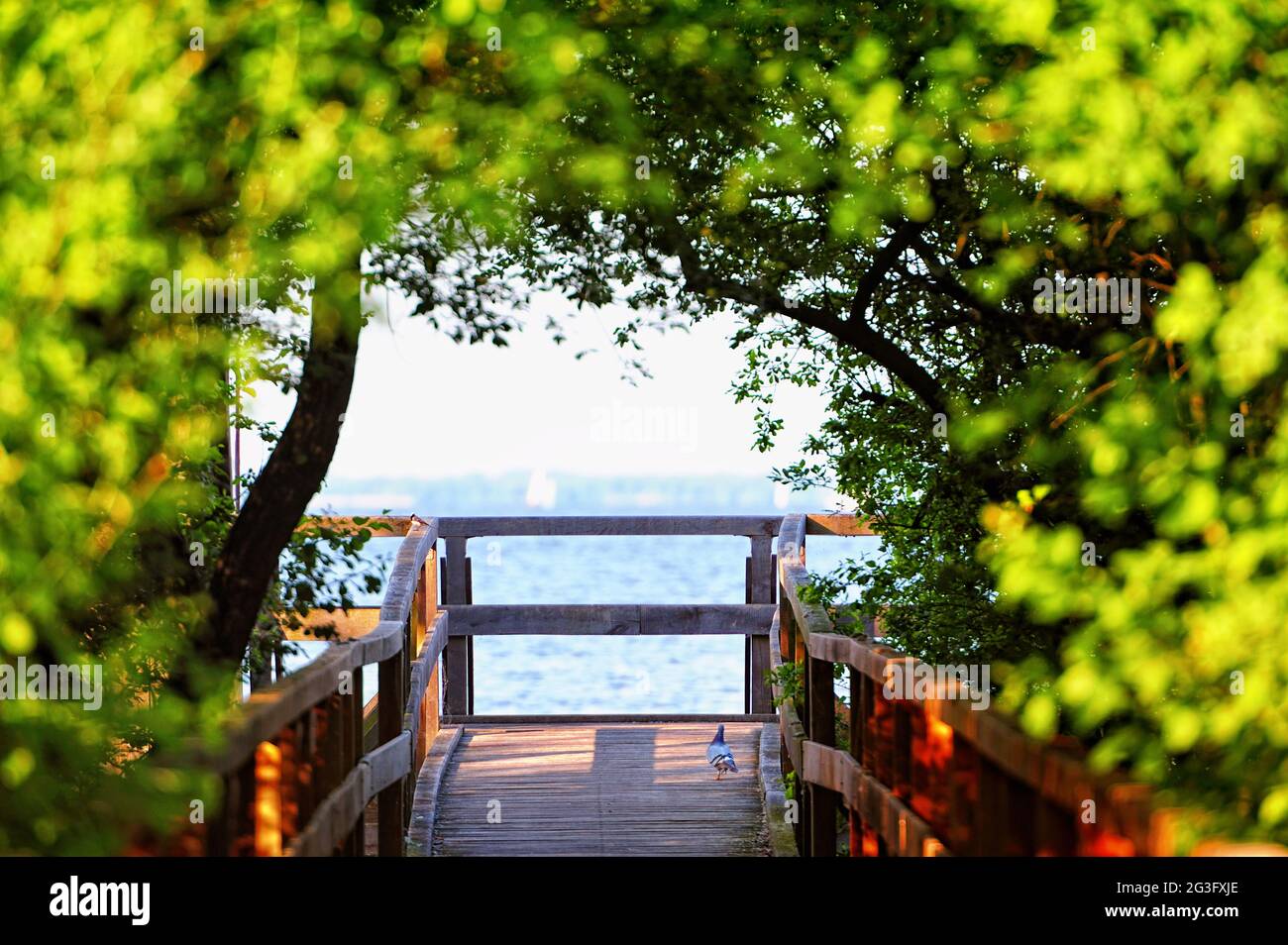 Seascape at Wilhelmstein,Steinhude am Meer Stock Photo - Alamy