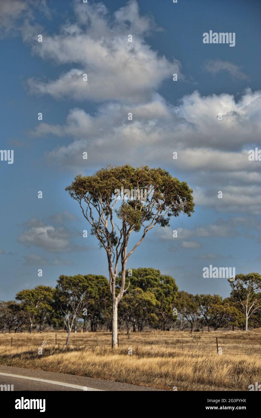 Countryside of Queensland, Australia Stock Photo - Alamy