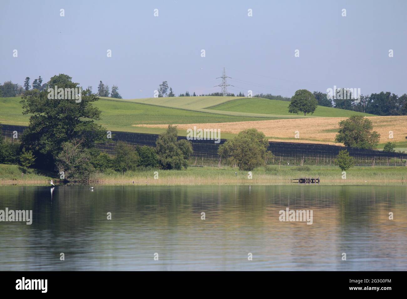 Colorful fields in Switzerland Stock Photo - Alamy