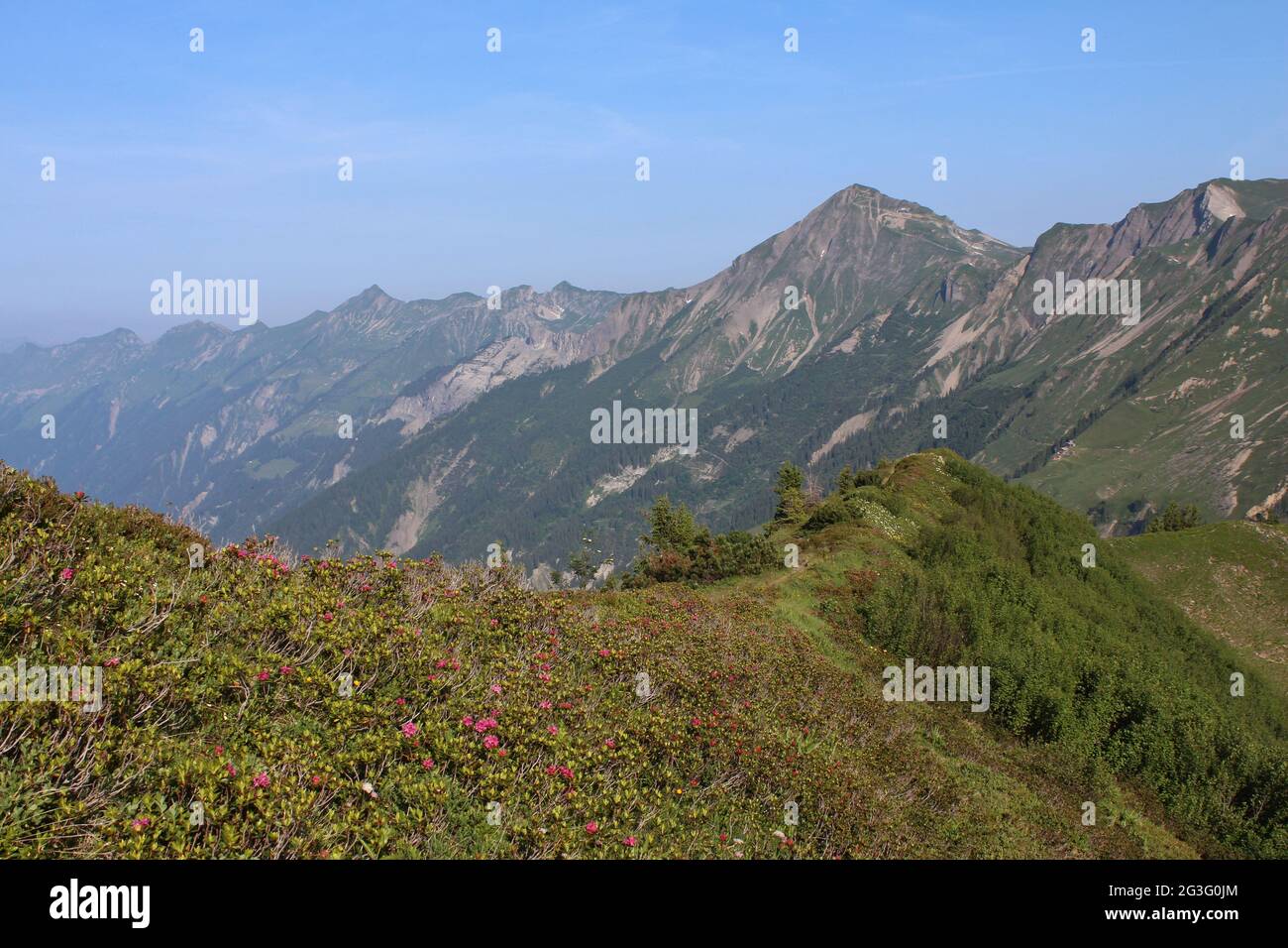 Brienzer rothorn hi-res stock photography and images - Alamy