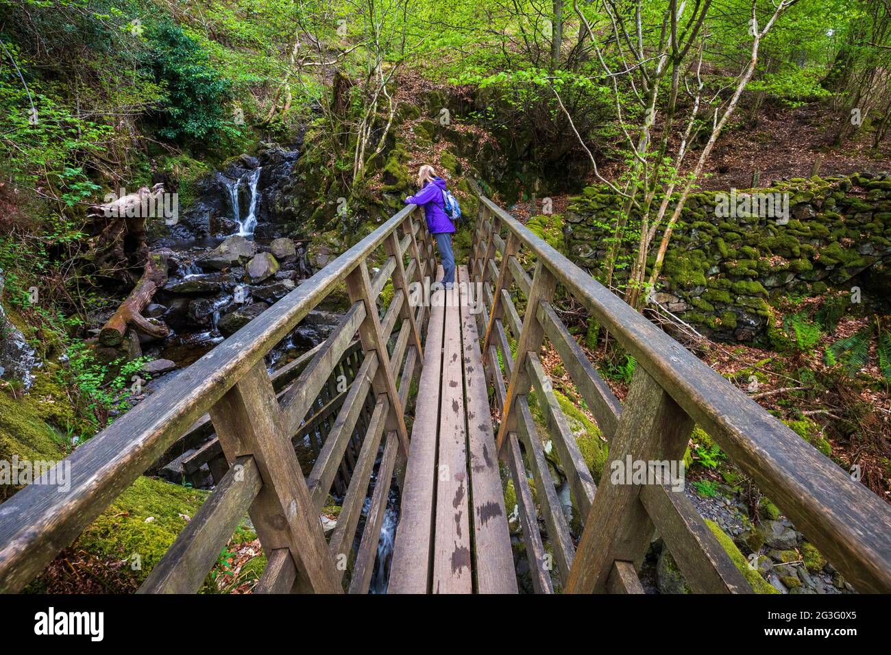 Waterfall and wooden footbridge hi-res stock photography and images - Alamy